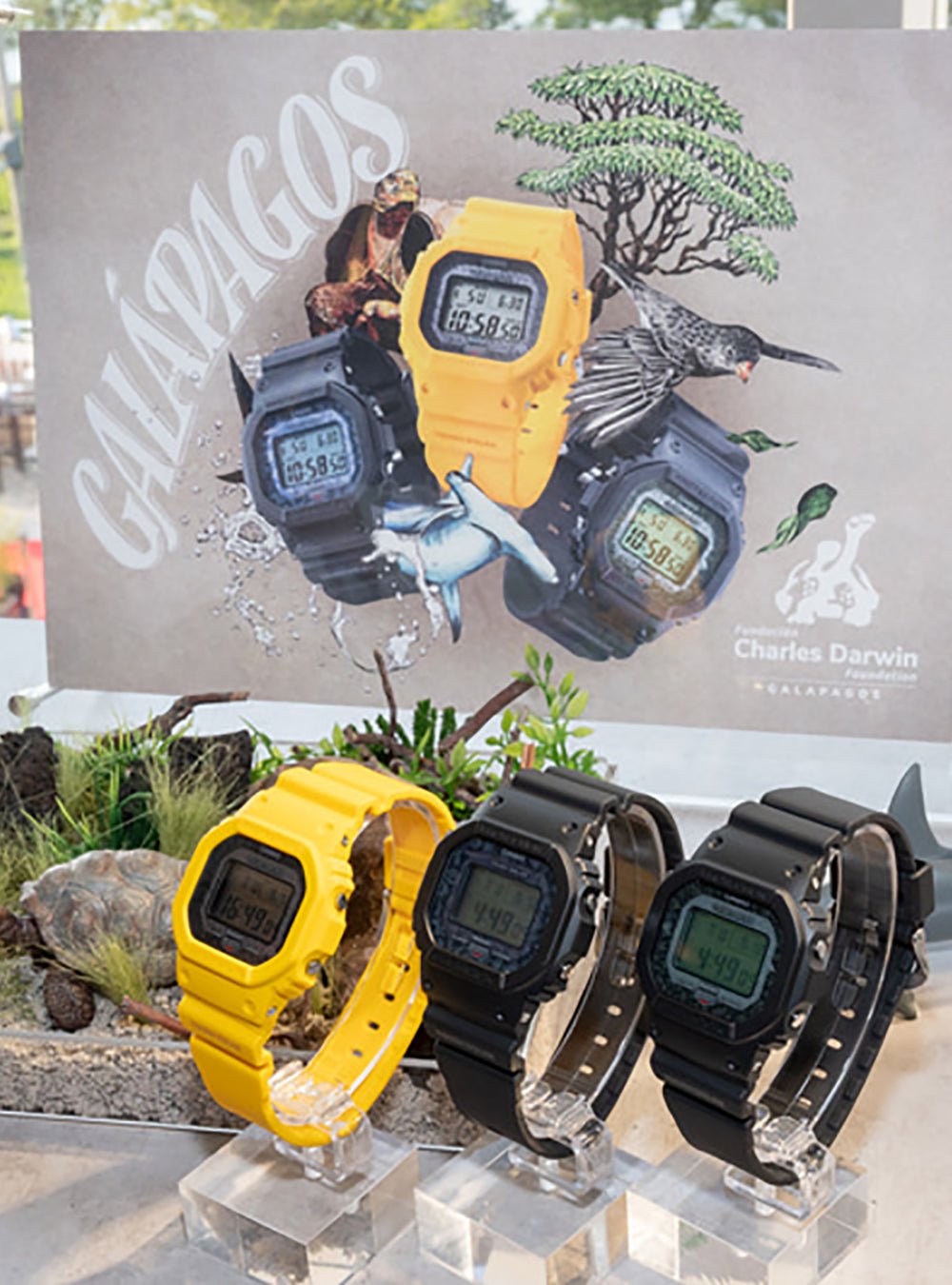CASIO WATCH G-SHOCK CHARLES DARWIN FOUNDATION COLLABORATION MODELS DIG ...